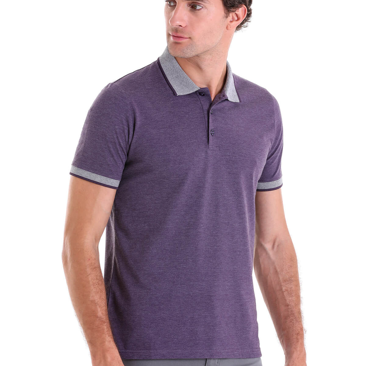 Regular Fit Cotton Blend Plum Polo T-Shirt – SAYKI